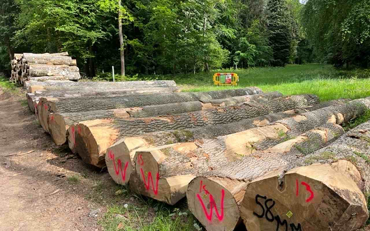 Is Ash Good Firewood? Pros, Cons, and Benefits Explained – Tiny Stove Talk